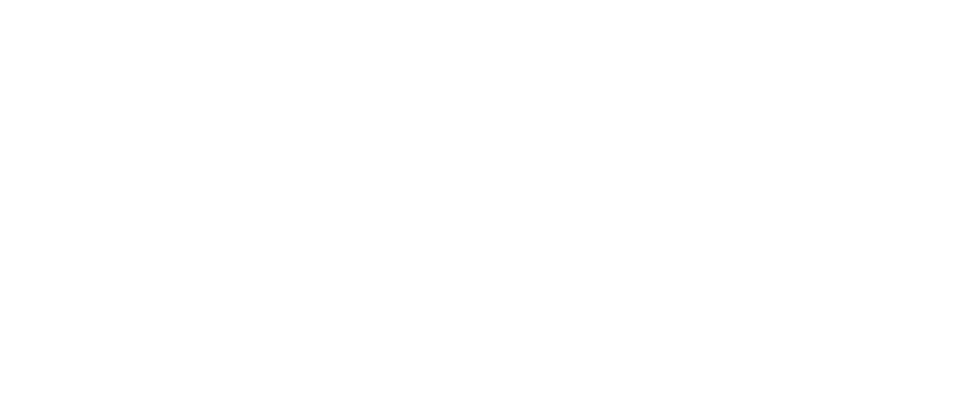 Maldivian Logistics Investment – Forwarding, Custom Clearance ...